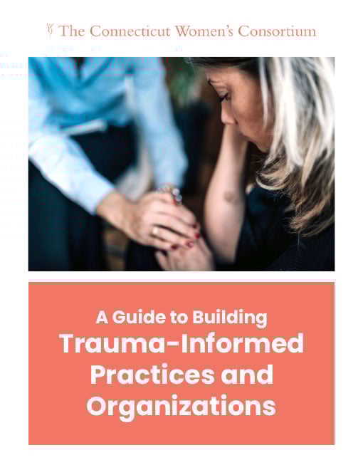 A Guide to Building Trauma-Informed Practices and Organizations